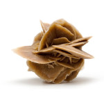 Desert Rose | WhatAEarth